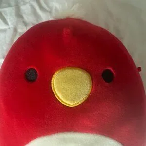 Squishmallows | Toys | Paco The Parrot Squishmallow 8 | Poshmark